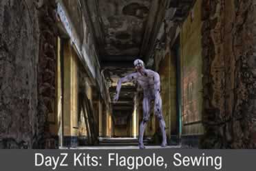 DayZ Kits (Flag pole, Sewing, Gun cleaning kits checked out ...